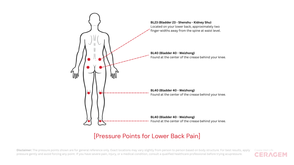 Acupressure for Back Pain: Target Points for Upper & Lower Back Relief